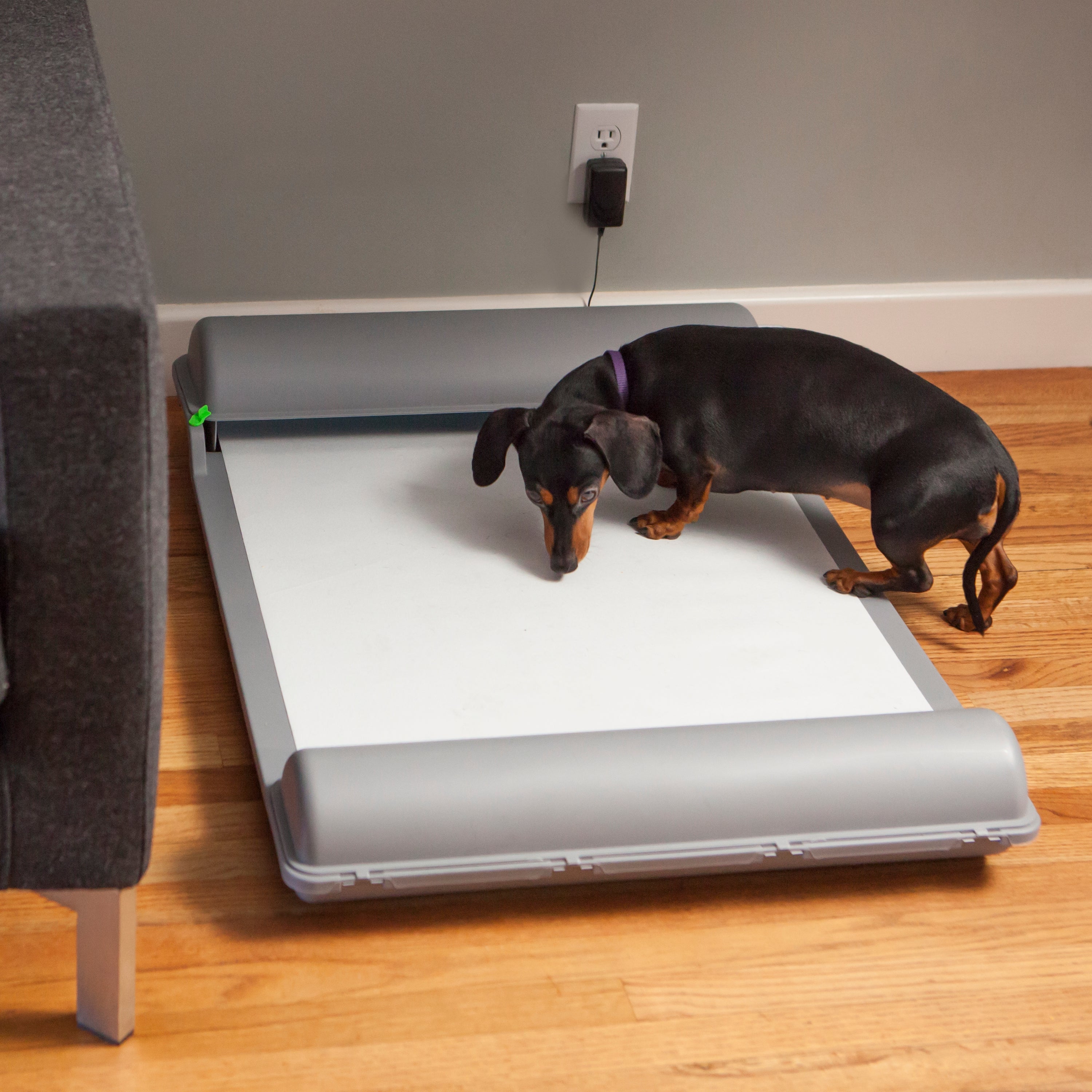 BrilliantPad Self-Cleaning Indoor Dog Potty